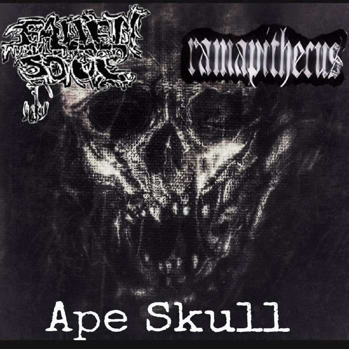 Ape Skull | Ramapithecus/FALLEN SOUL | Ramapithecus
