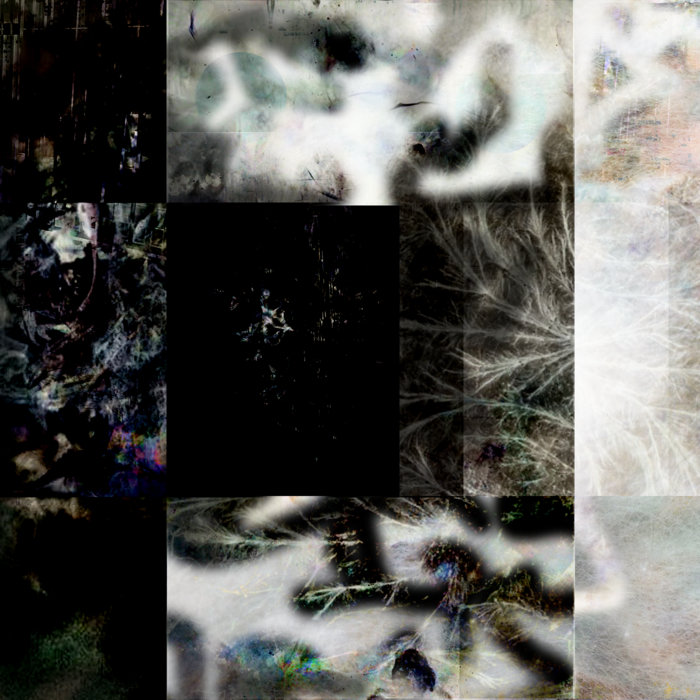 From Darkness and Decay | extra dimensional | awa awa