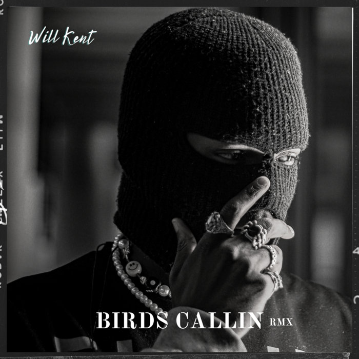 Birds Callin rmx | Will Kent