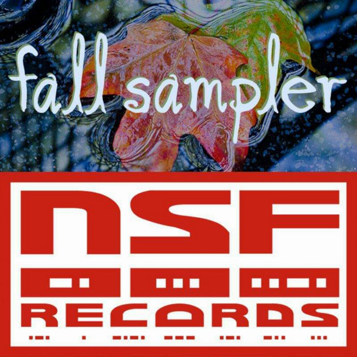 NSF006 Fall Sampler | Various Artists | Not So Fast Records