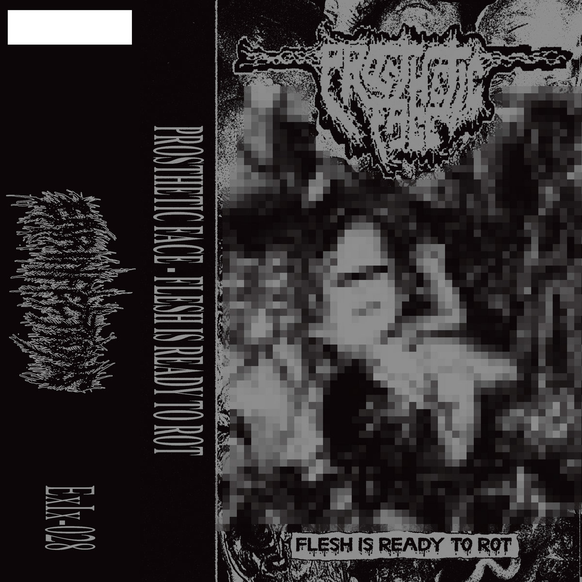 Flesh Is Ready To Rot | Prosthetic Face | EAR INFECTIONS