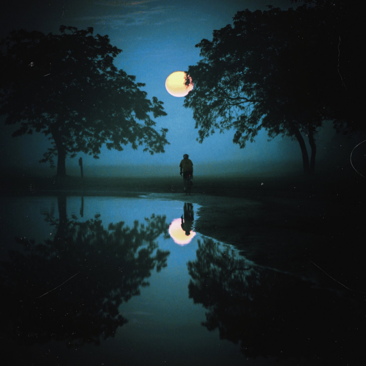 Moonlight Vibes | Shortcxtt.