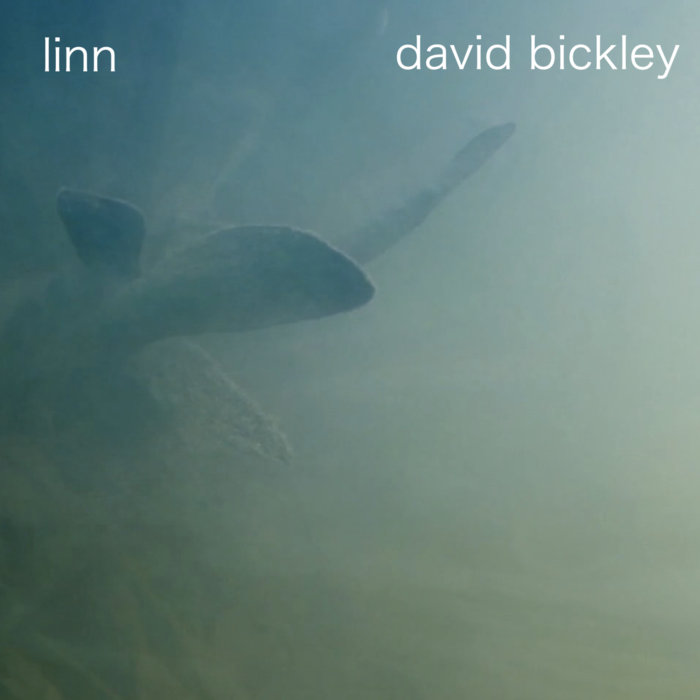 Linn | David Bickley