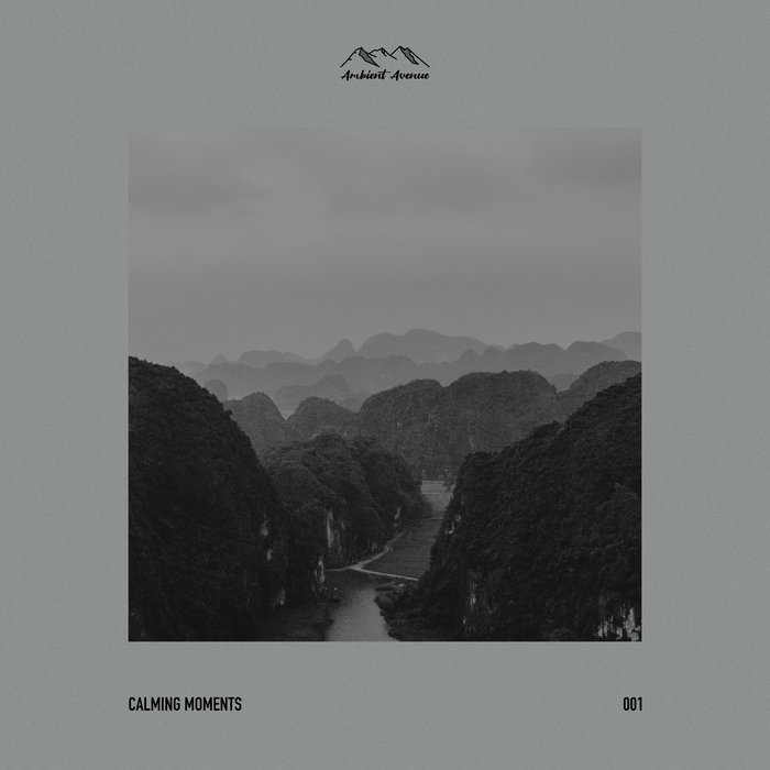 Calming Moments 001 | Various Artists | Ambient Avenue