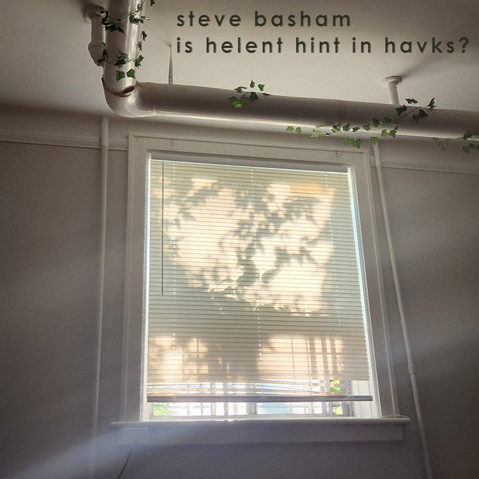 is helent hint in havks? | Steve Basham