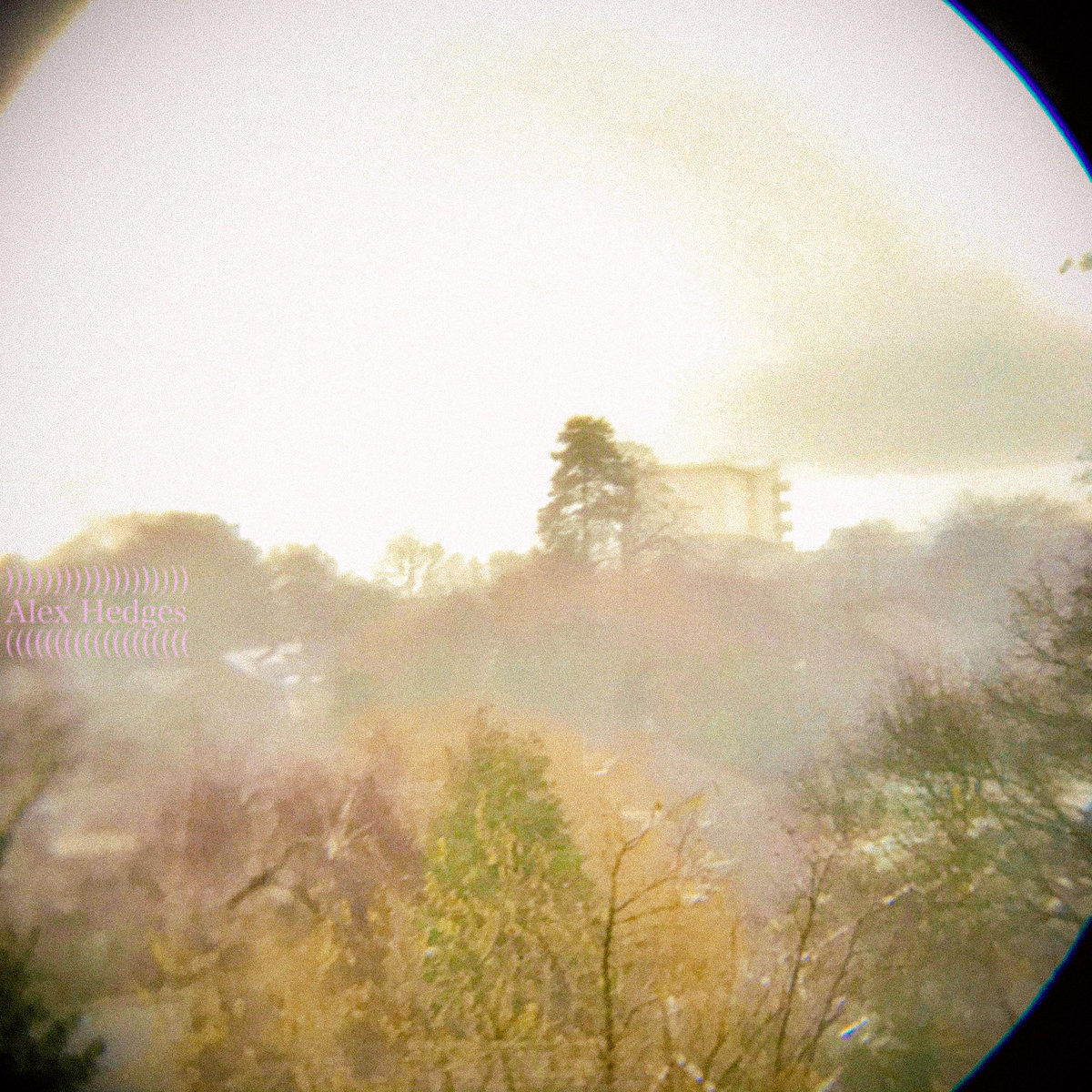 Alex Hedges | Alex Hedges