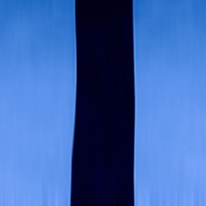 Blue Vale Snowdream | Coppice Halifax