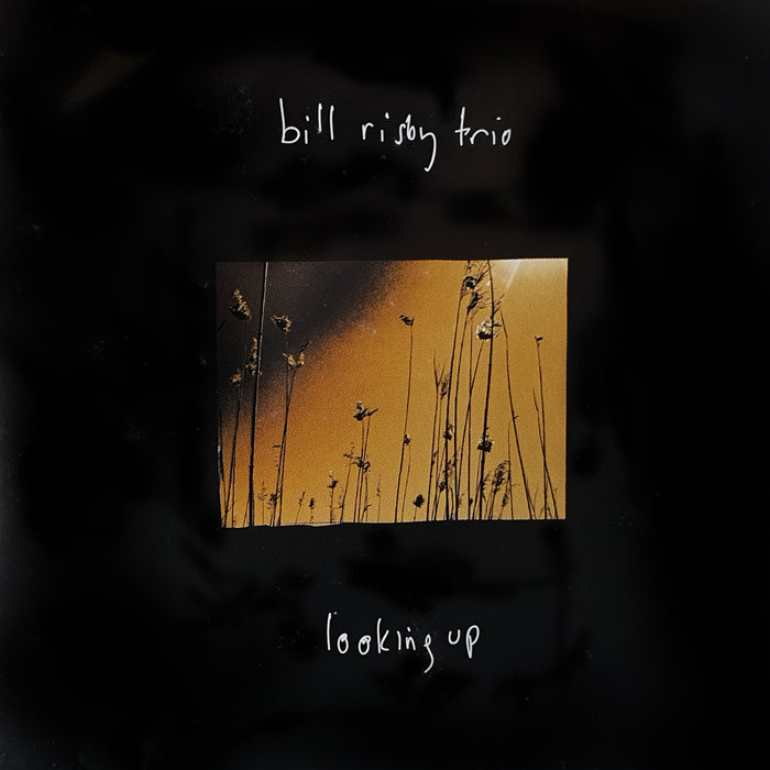 Looking Up | Bill Risby