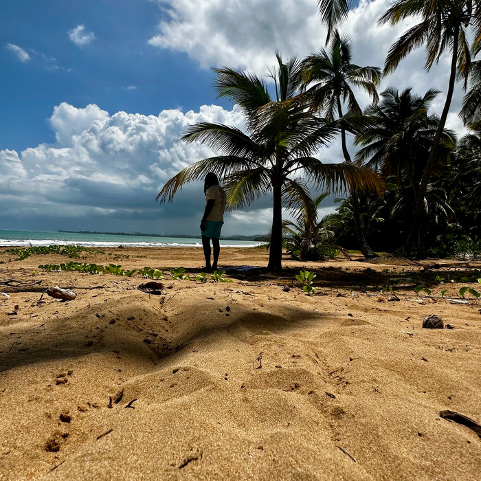 Bad Bunny - BAILE INoLVIDABLE (Rodney Hazard Remix) | Rodney Hazard, Bad Bunny | Rodney Hazard