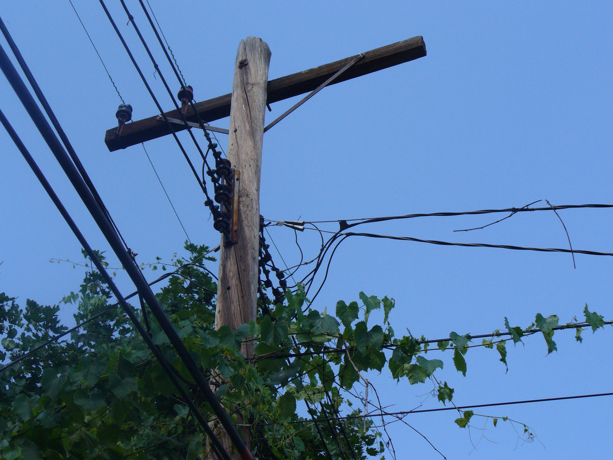 Cycles | Dan Petrich