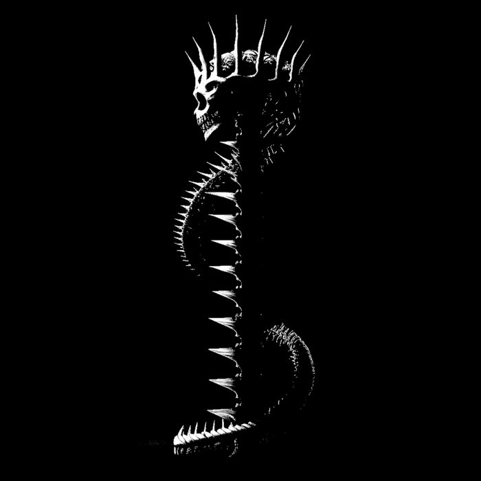 Human Spine Whip | Vomit Division