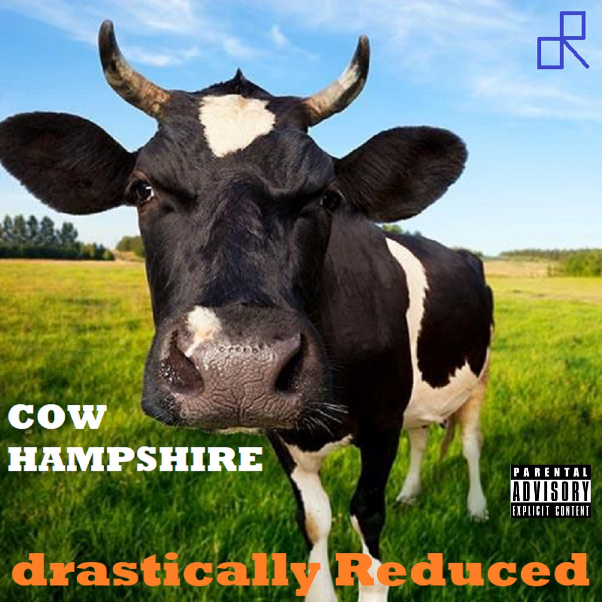 Cow Hampshire (Album) | drastically Reduced