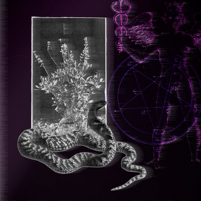 Serpentine Sigils | The Filthy Nebula / Mass Graven Image | The Filthy Nebula