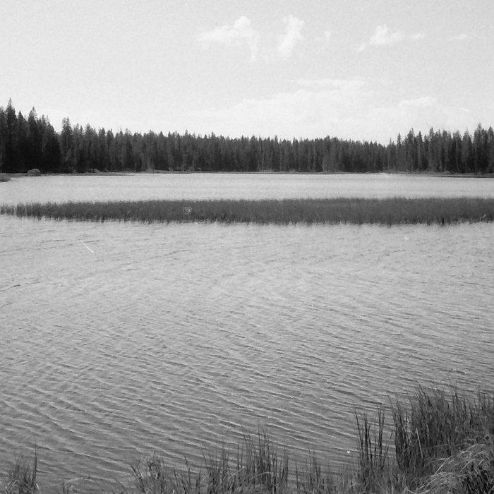 The Land Ethic, Second Summer 2022 | Andrew Weathers