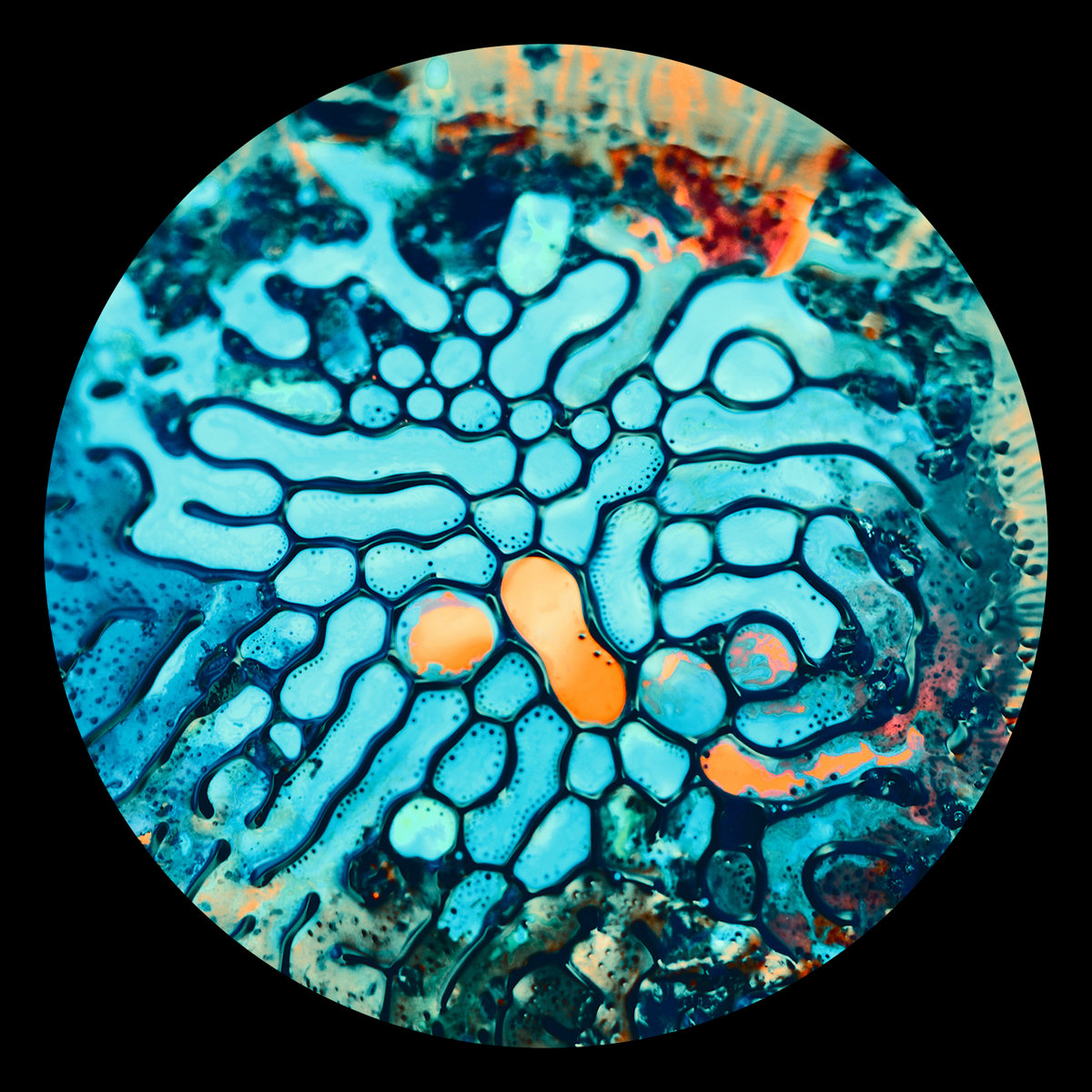 VA - Sintope Summer Sampler 2025 | NTFO, Whisp, Barut, Nicolas Duvoisin ...