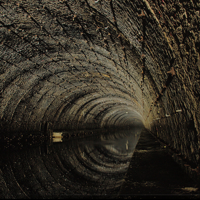 Knowing (Black Fall) | Nation du Chat