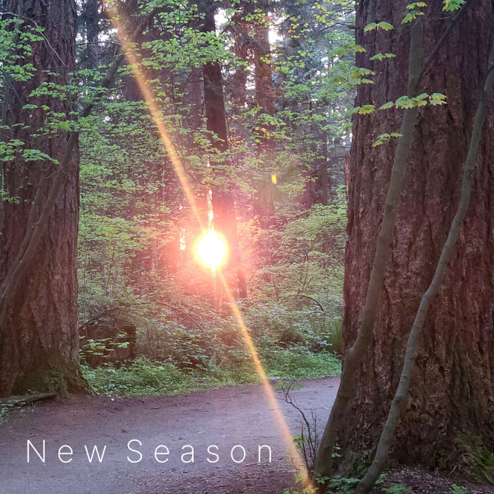 New Season | Genie String Bass