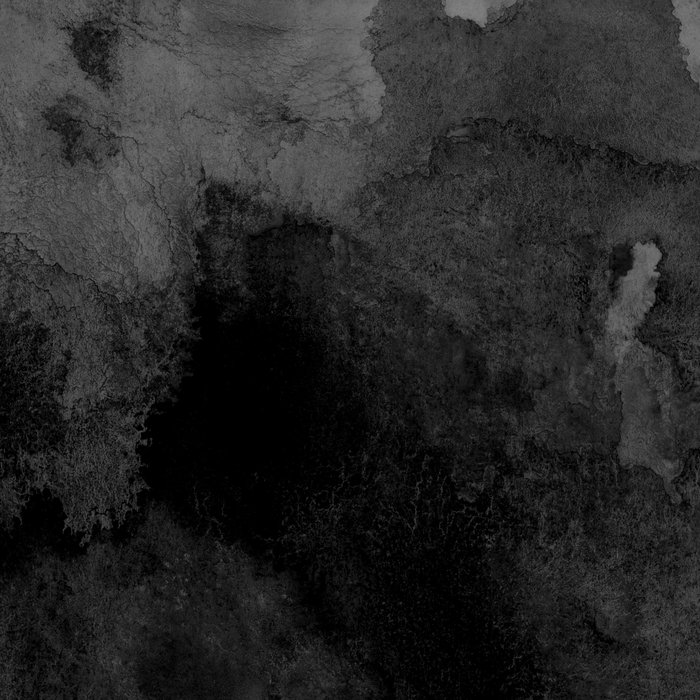 911923 | Shinobu Nemoto | MOUFUROKUON