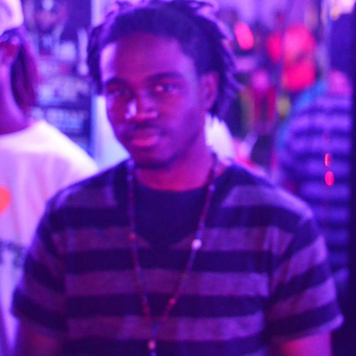 October - Zebra | Dolphin Gang