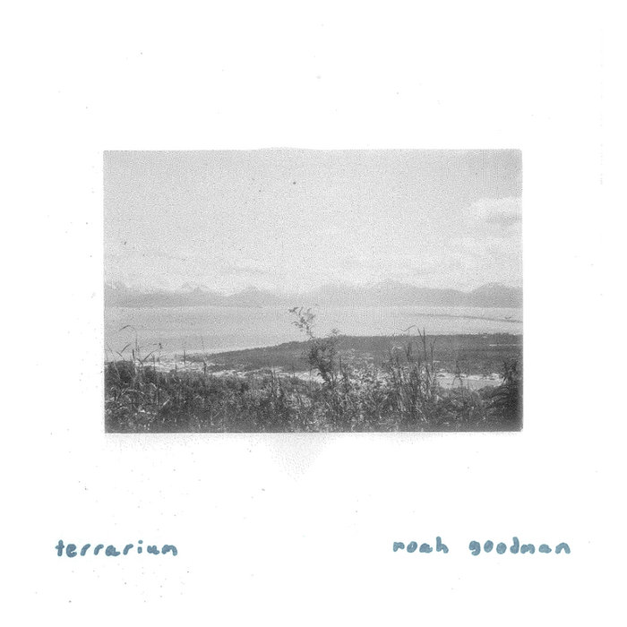 Terrarium | Noah Goodman