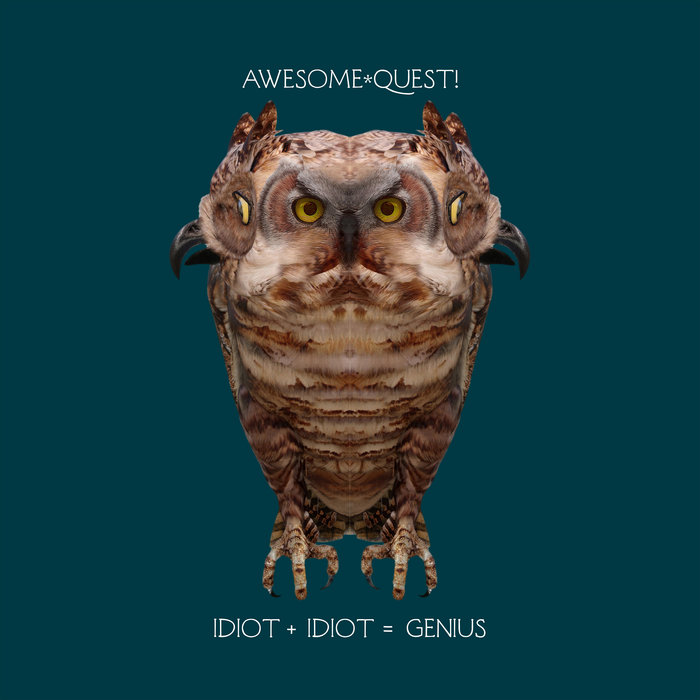 Idiot + Idiot = Genius | AWESOME*QUEST!