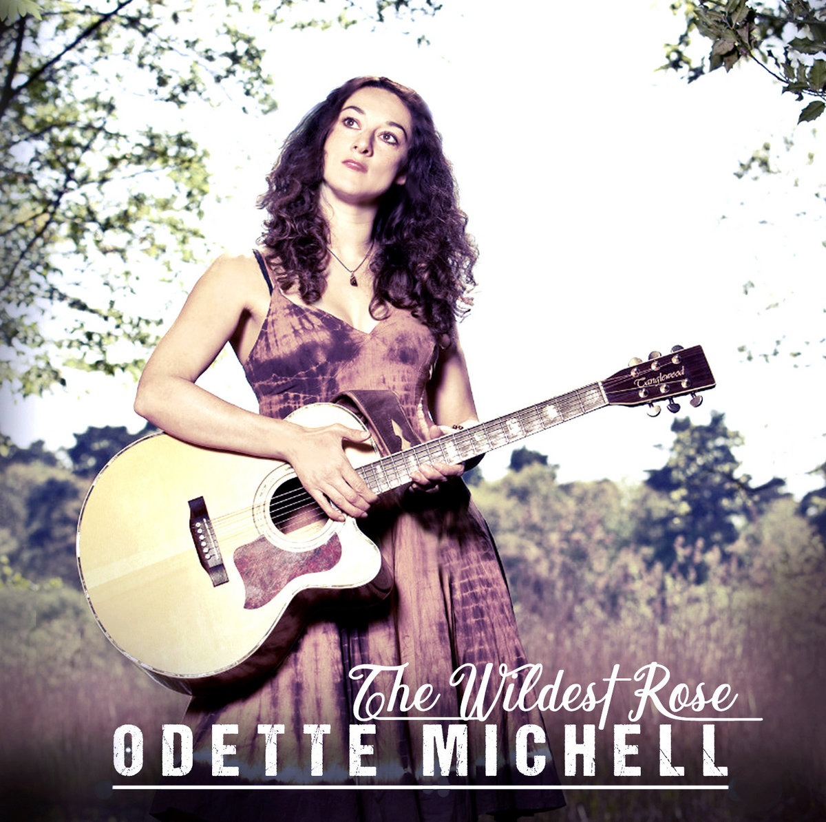 The Wildest Rose | Odette Michell