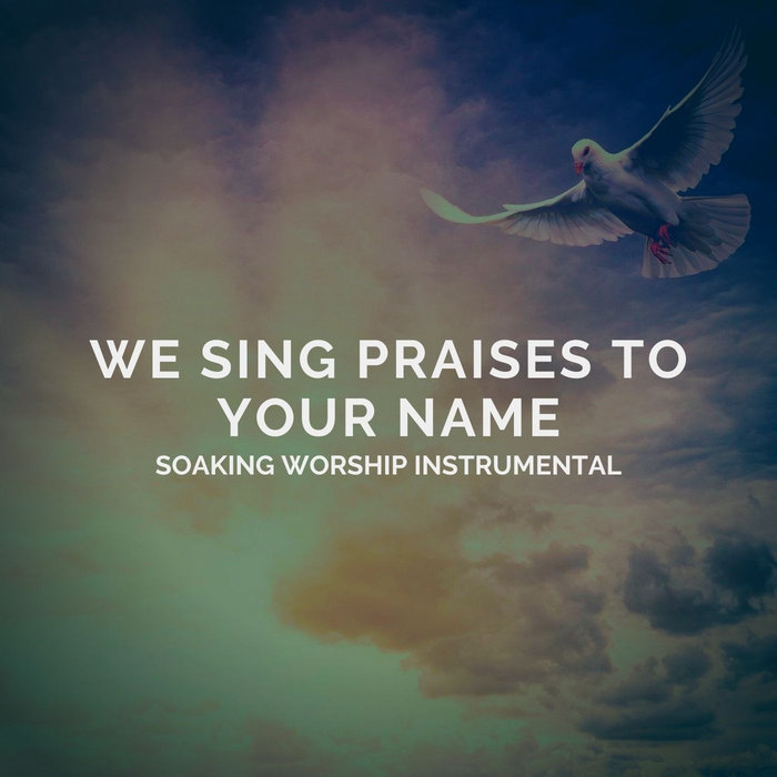 We Sing Praises to Your Name | Kyle Lovett Worship Music