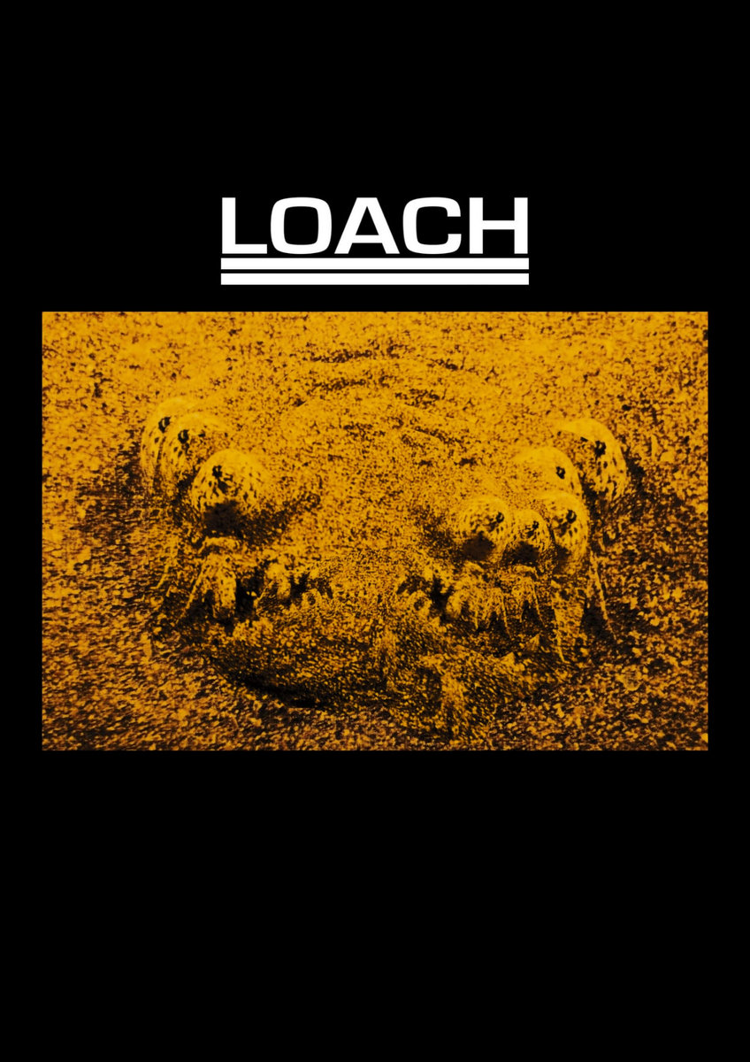 Music | LOACH