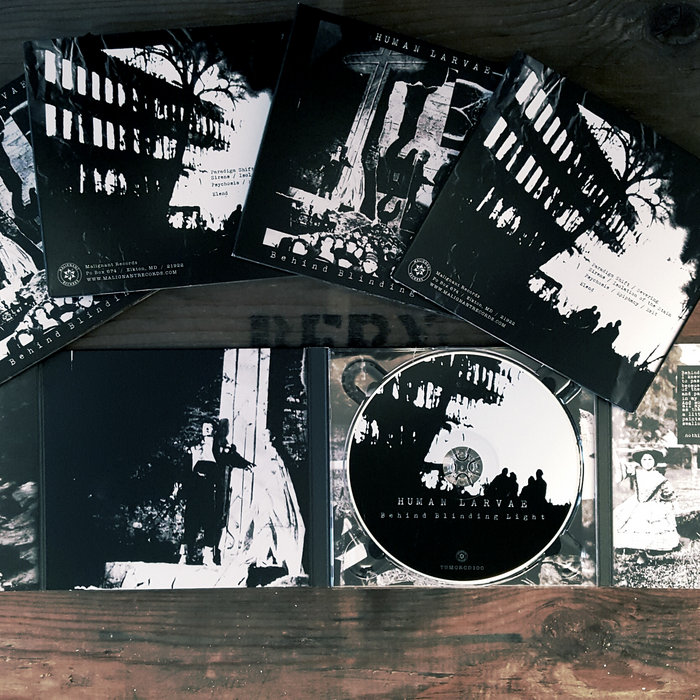 Behind Blinding Light | Human Larvae