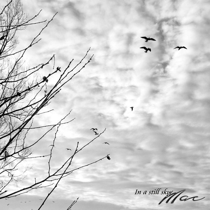 IN A STILL SKY | Mac of BIOnighT