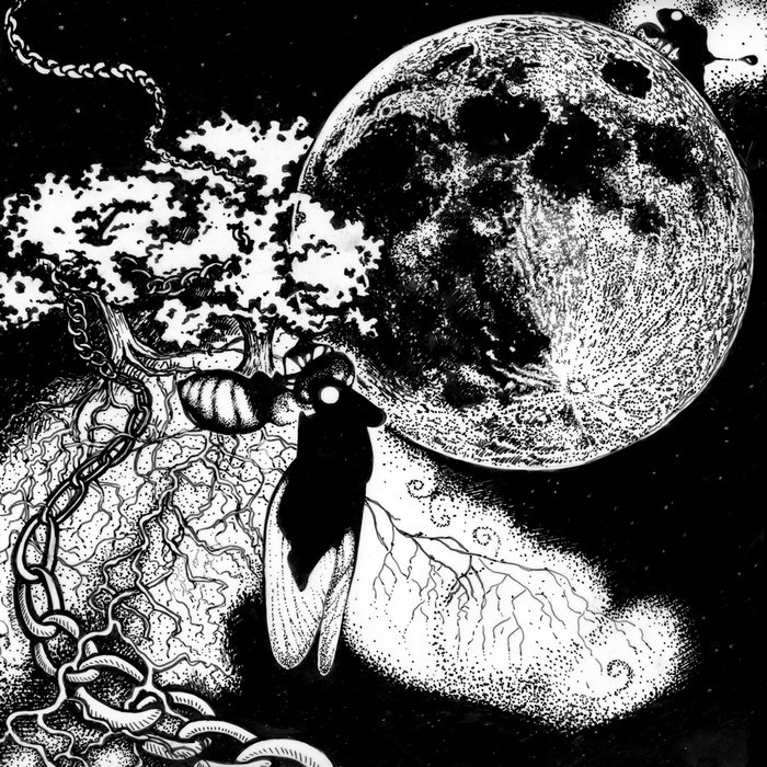 Terraforms | Connectedness Locus