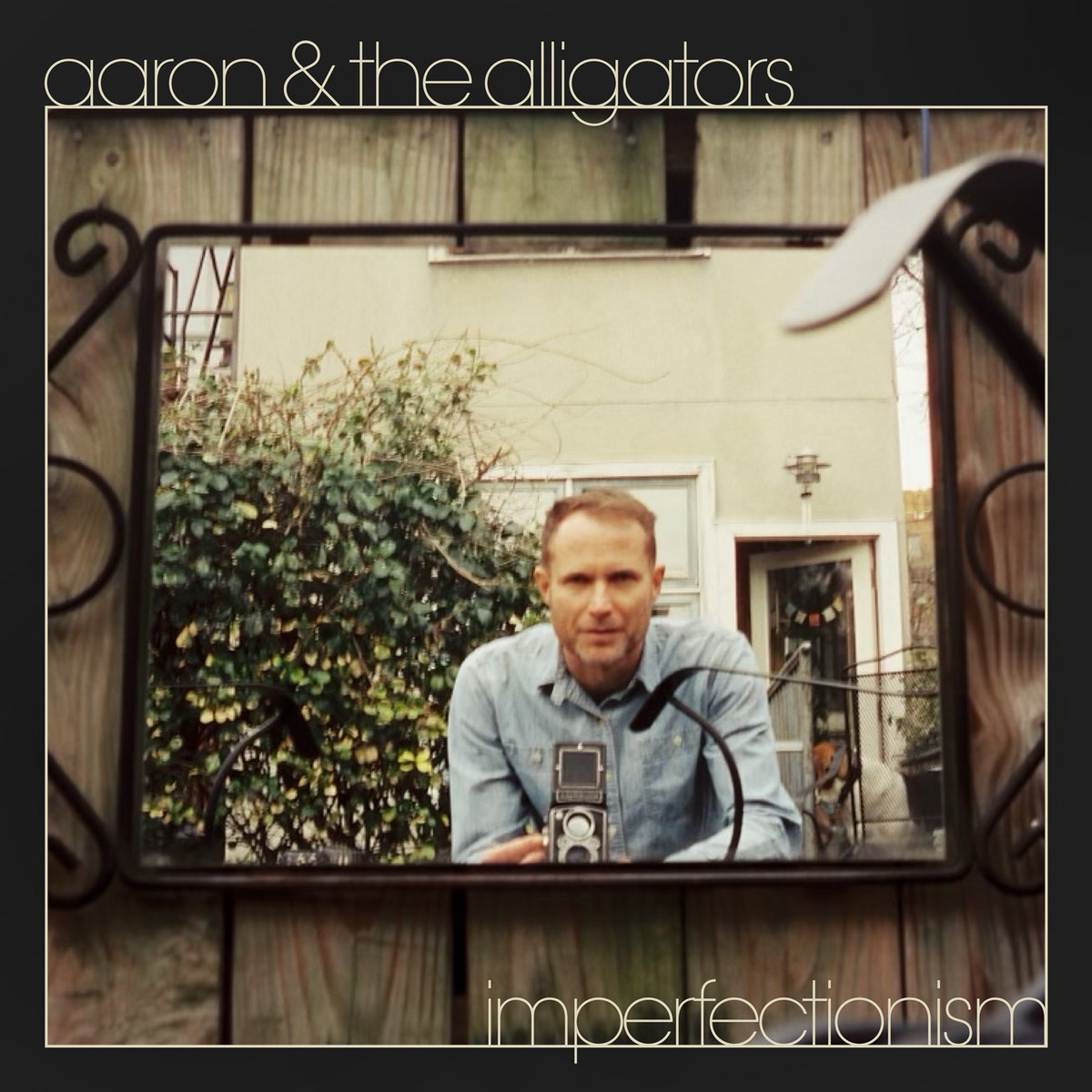 Imperfectionism | Aaron and The Alligators
