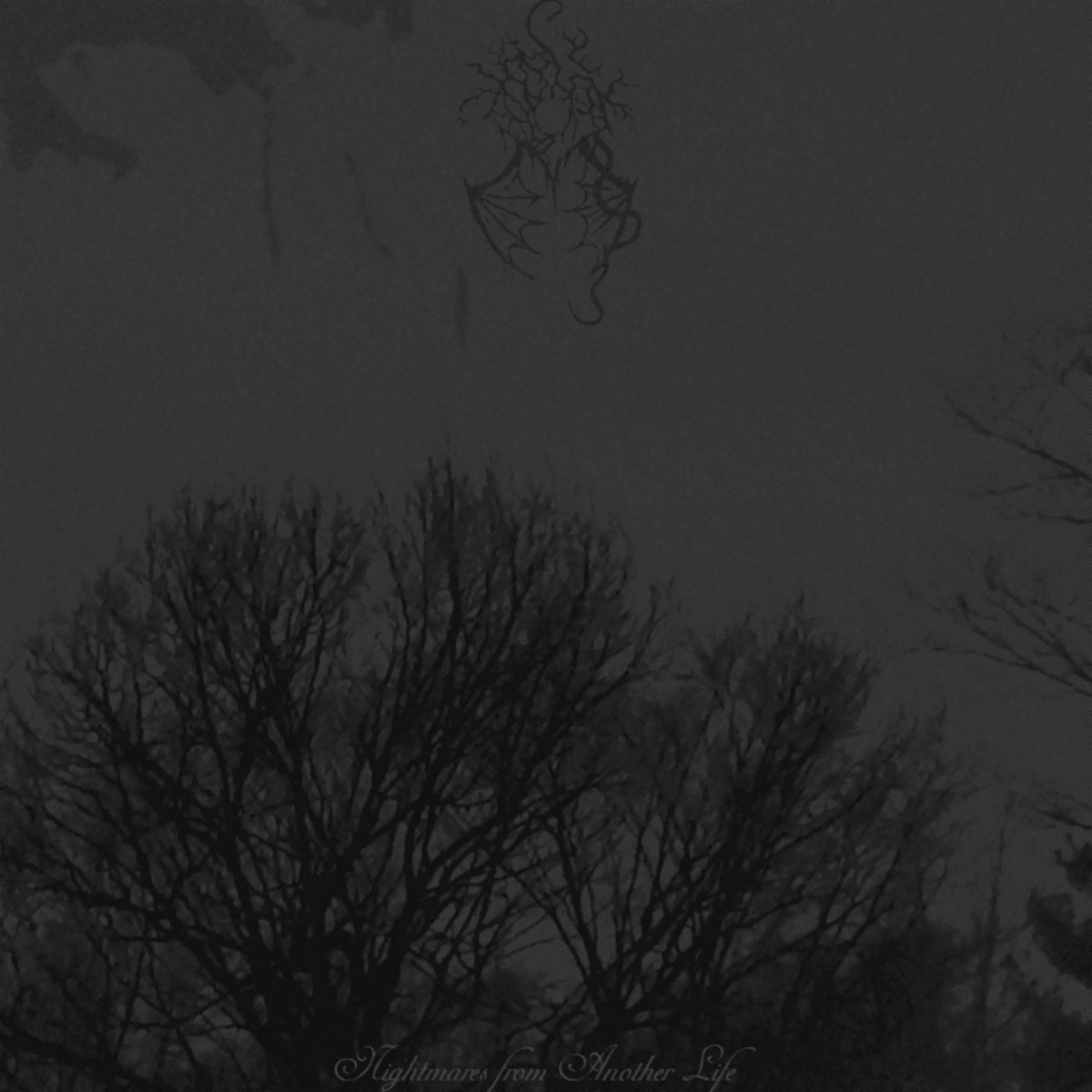 Nightmares from Another Life | Maledictus Anguis