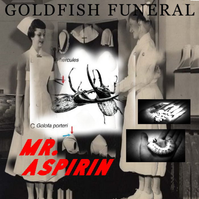 Goldfish Funeral | Mr. Aspirin | Caveman Recordings