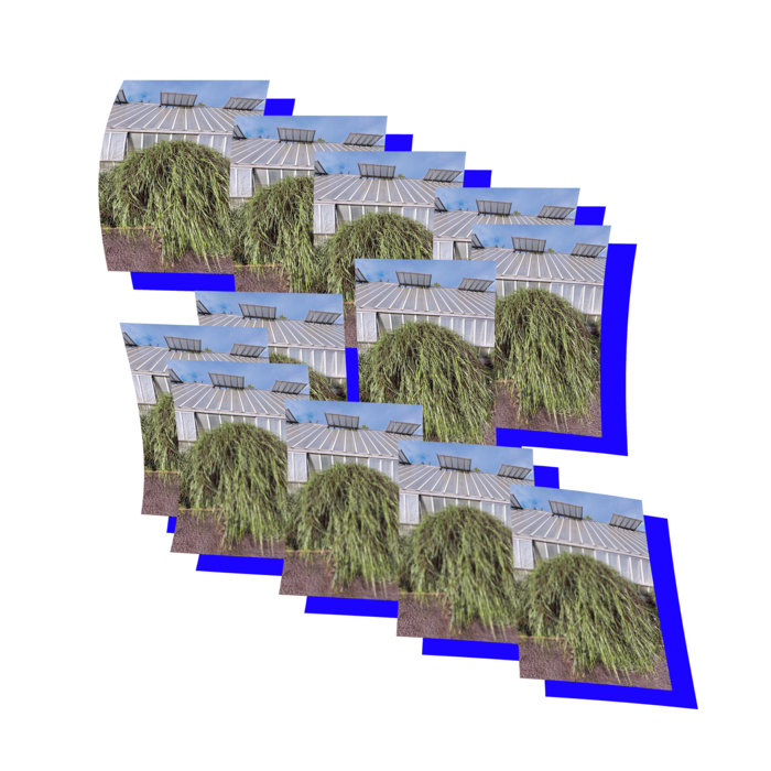 Brass Woks | Martina Berther x Vic Bang | vic bang