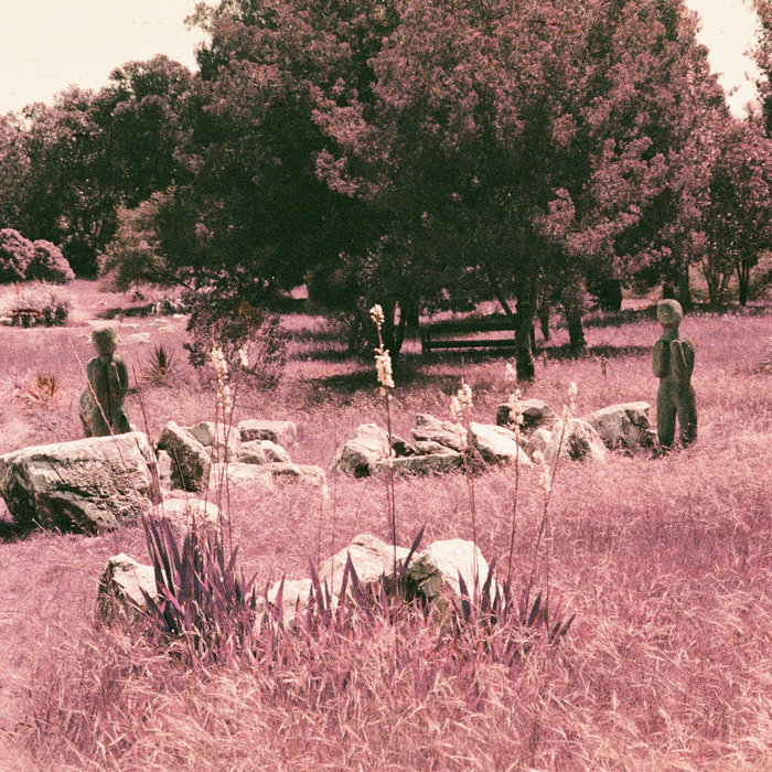 Memory Garden | Memory Garden