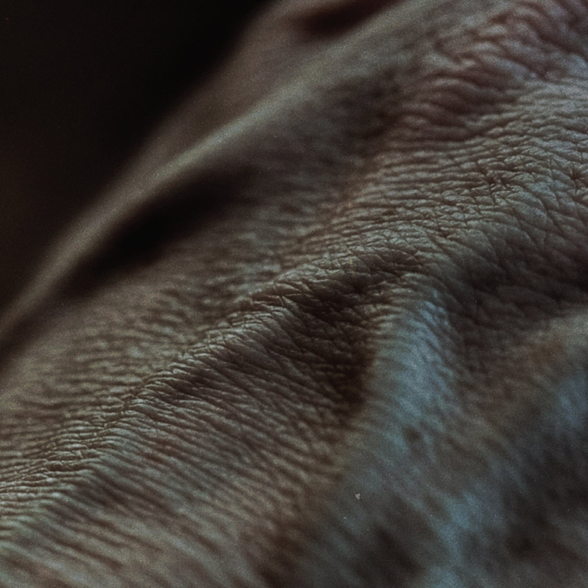 Nested Skins | ltfll