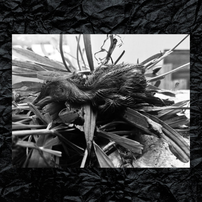 these bleached bones | figures appear.