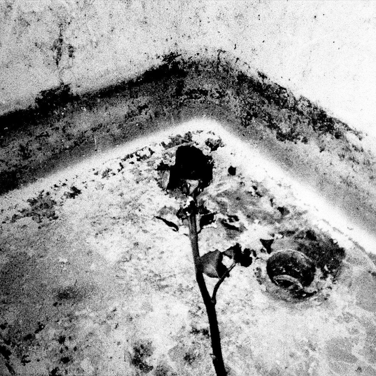 Mary Vincent (Alternate Version) + | Nearly