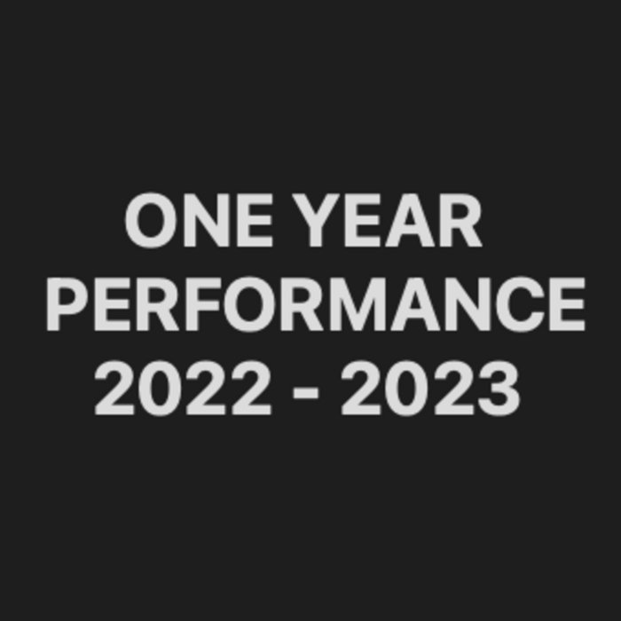 One Year Performance 2022 - 2023 | The Hsieh Project