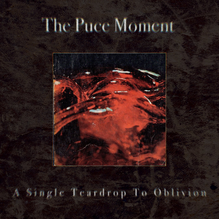 A Single Teardrop To Oblivion | The Puce Moment