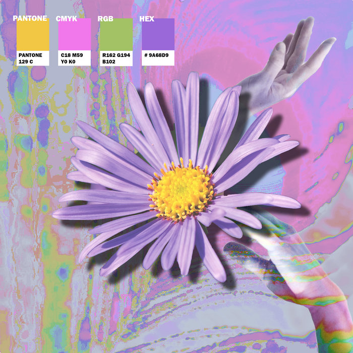 Efflorescence The Paradigm Shift