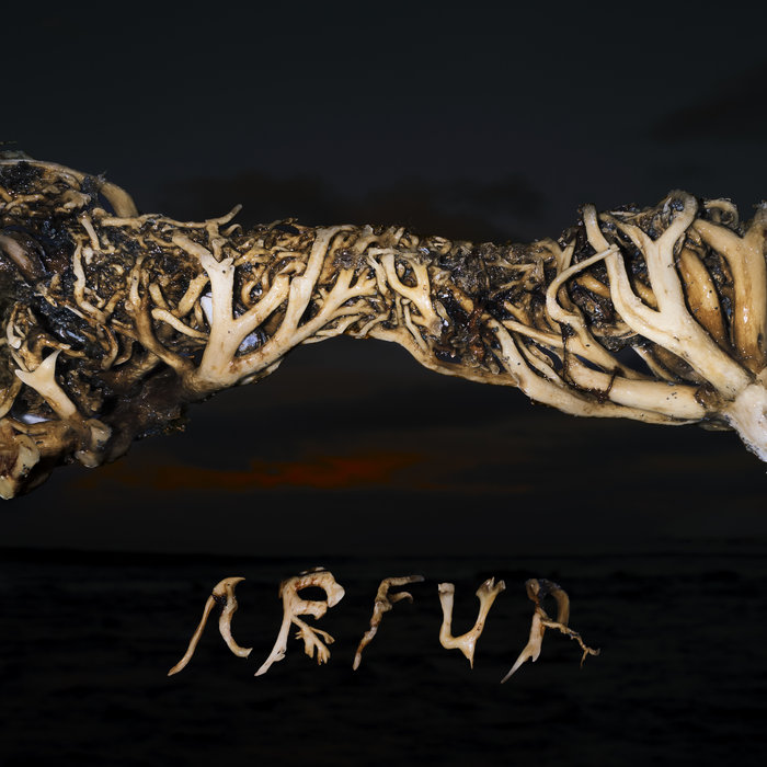 Arfur | Sigrún
