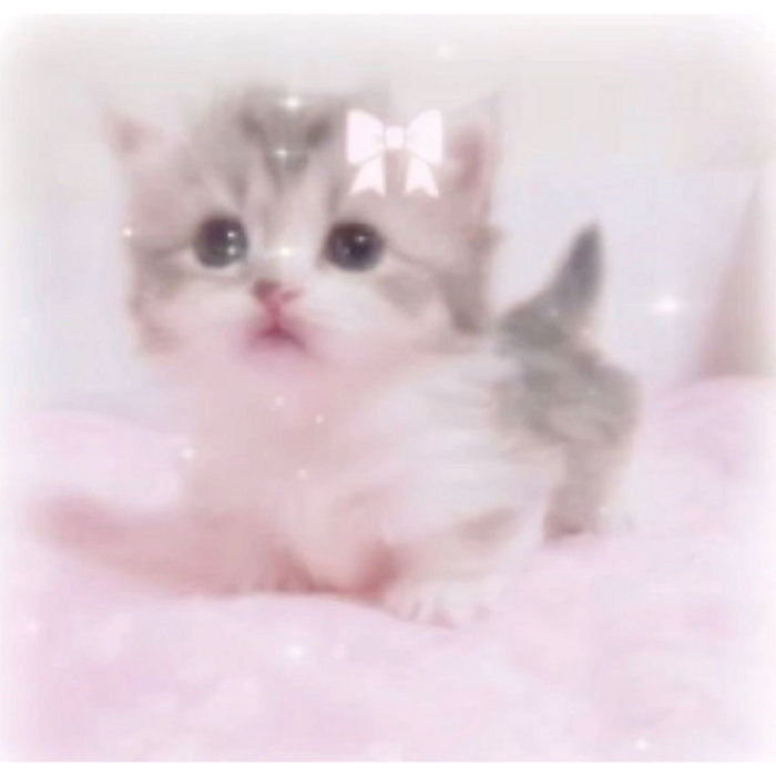 pretty - coco and clair clair | coco and clair clair | sugarpinkangel