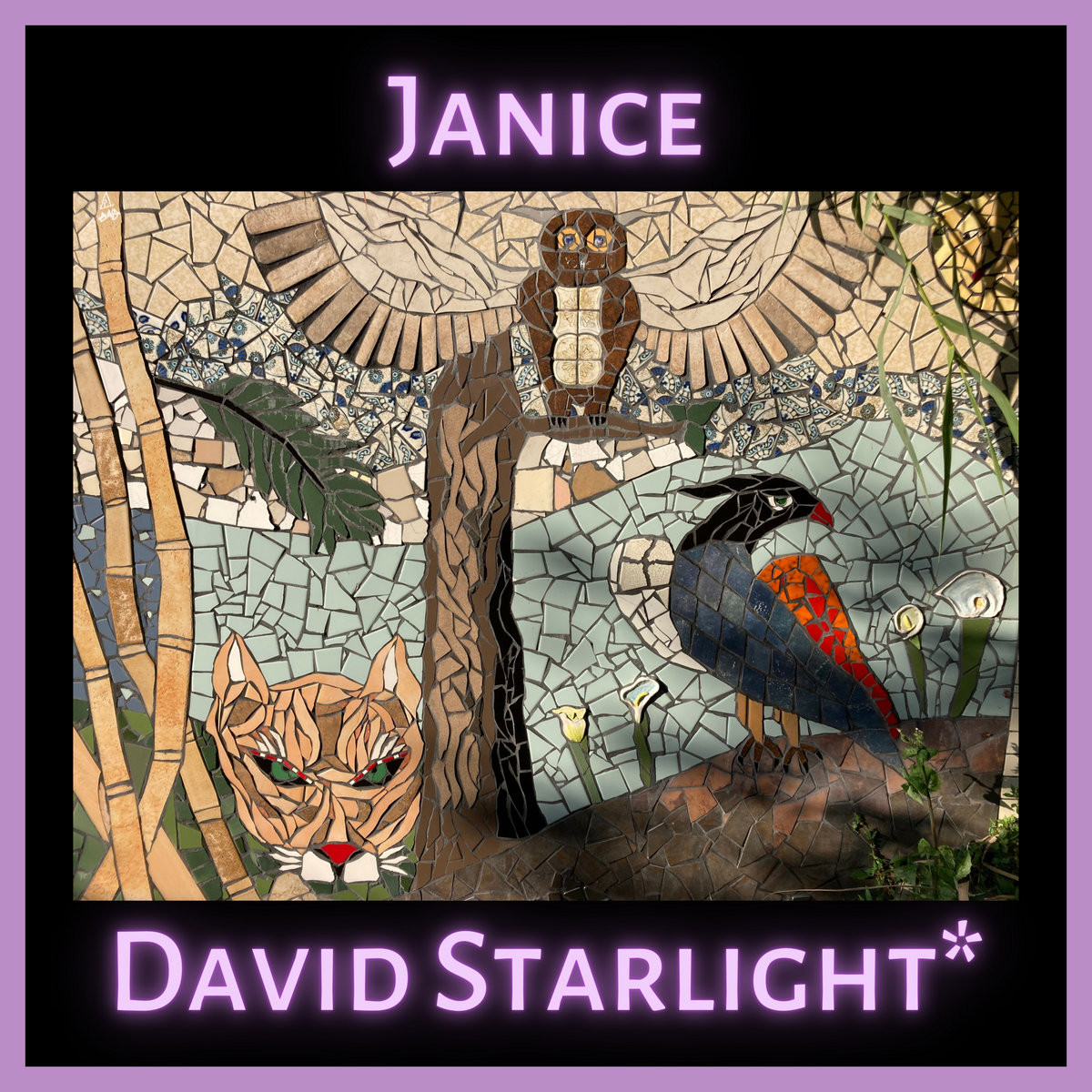 Janice | David Starlight*