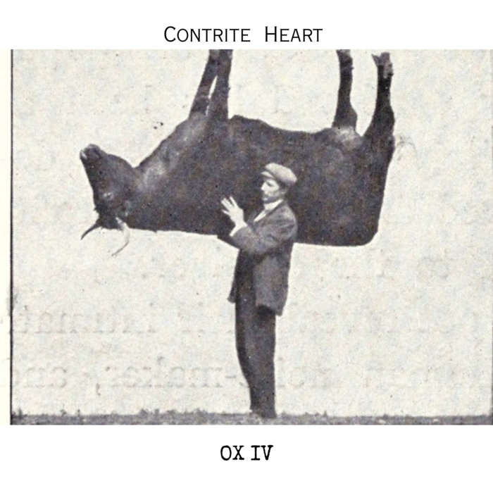 Ox 4 (physical on NotF) | Contrite Heart | MILITANT LITURGY