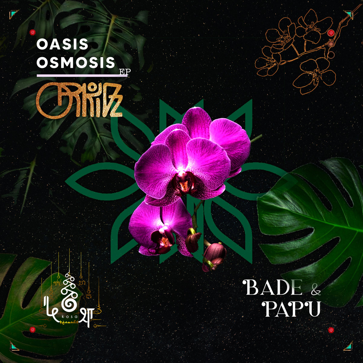 Oasis Osmosis | Orkidz | Kosa musica