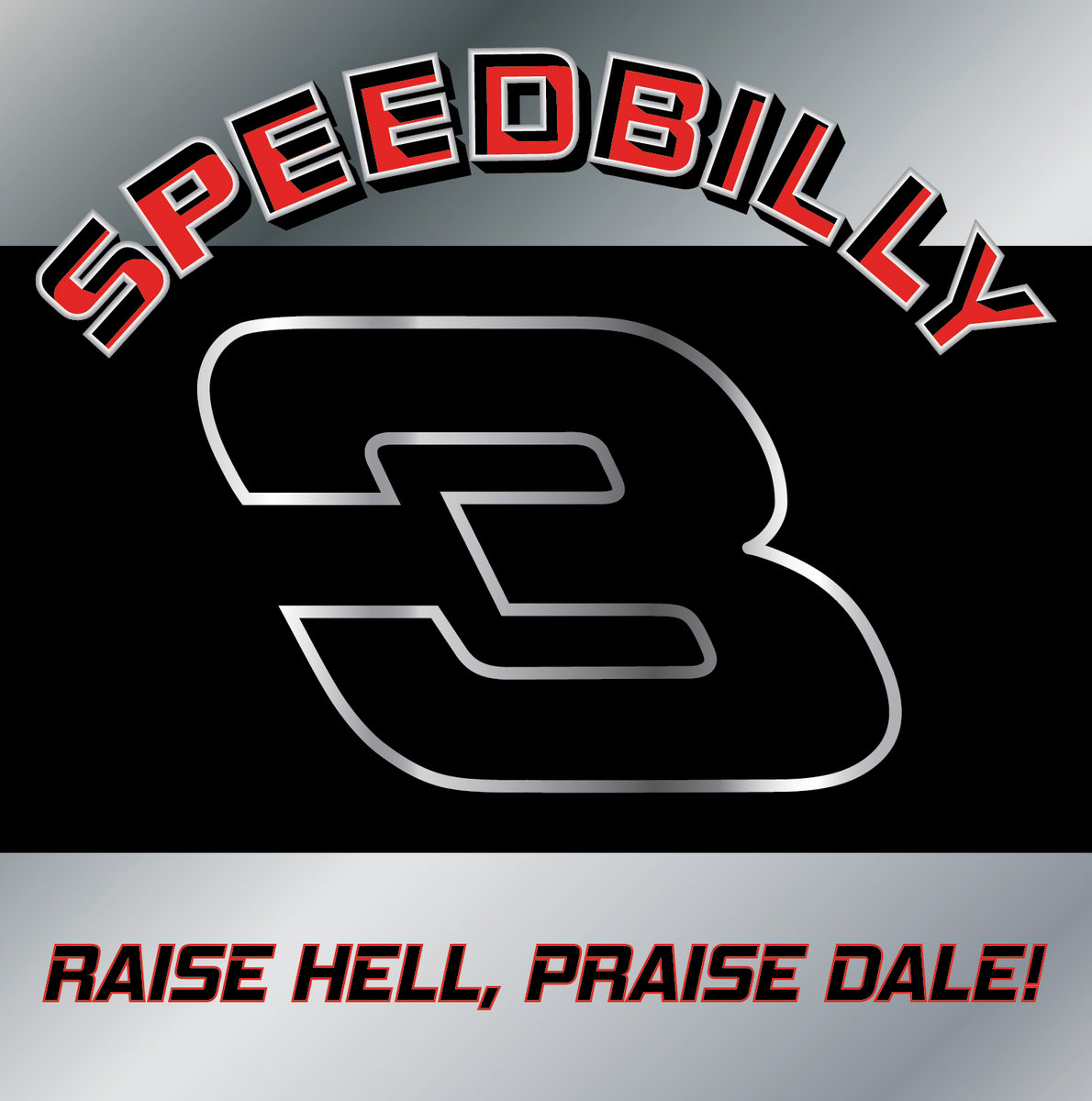 Dale Raise Hell Praise Dale Can Cooler Nascar Gift Racing Beer ...
