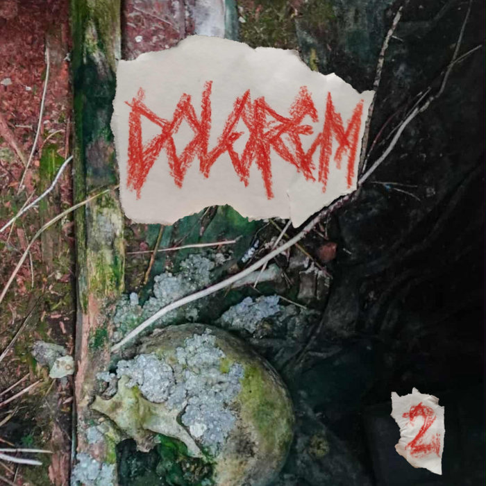 demo II | RAVEN // DOLOREM