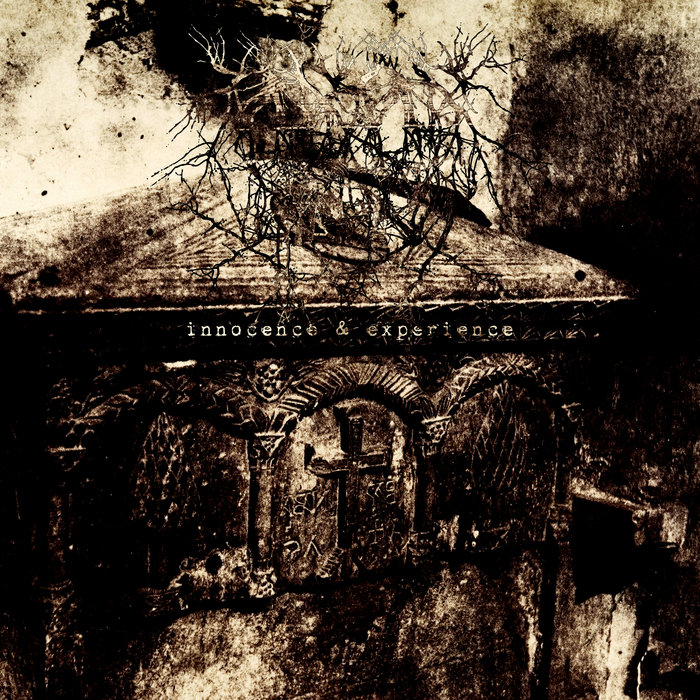 Innocence and Experience | Entropy Created Consciousness